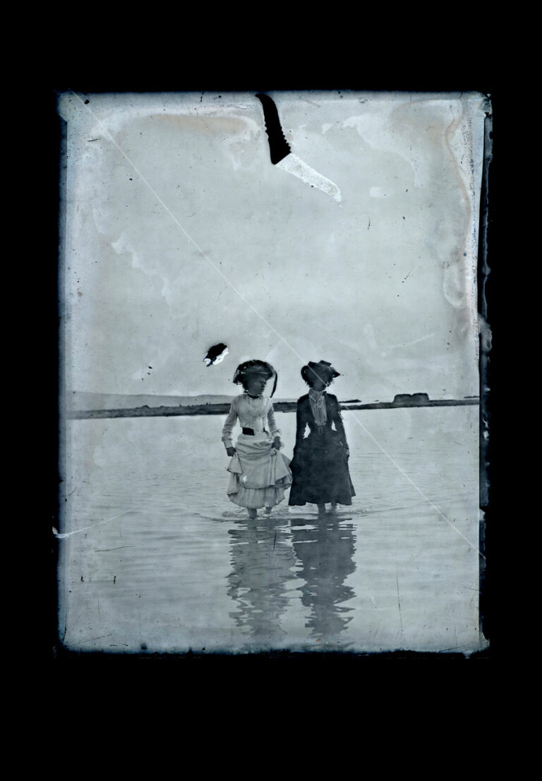 Trish Clark Gallery | Trish Clark Gallery is located at 142 Great North ...