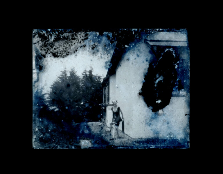 Trish Clark Gallery | Trish Clark Gallery is located at 142 Great North ...